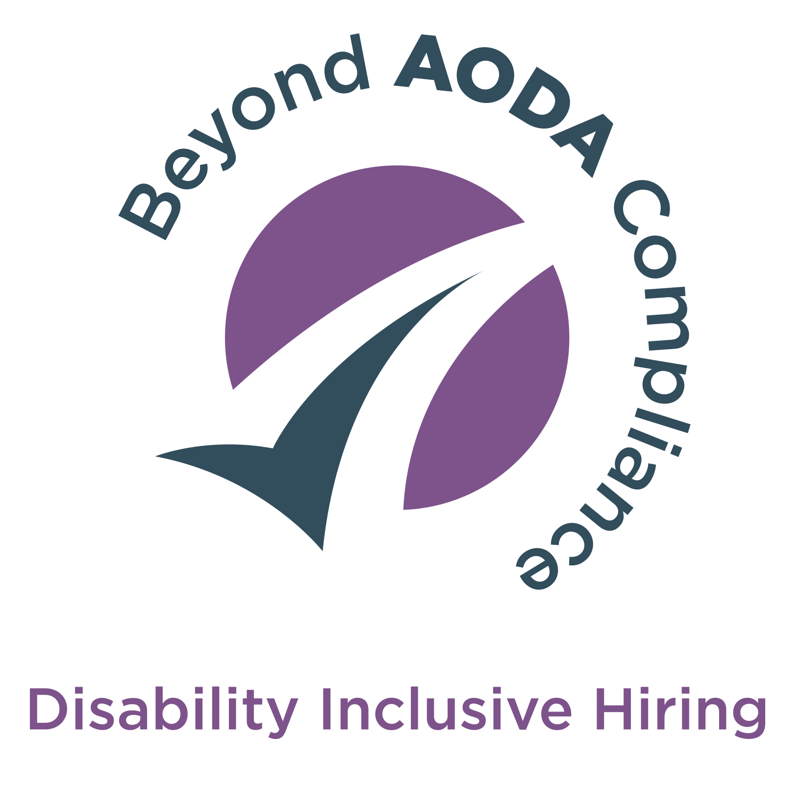 Beyond AODA Compliance Project - Ontario Disability Employment Network